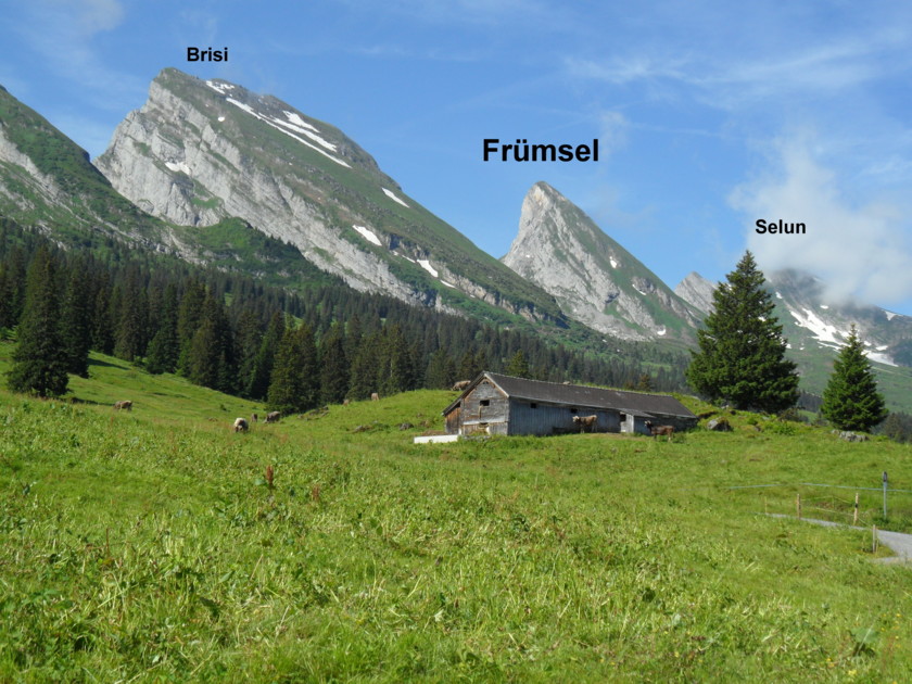 Frümsel 2267m - Brisi 2279m (im Mittelteil der Churfirsten) :: Alpenverein
