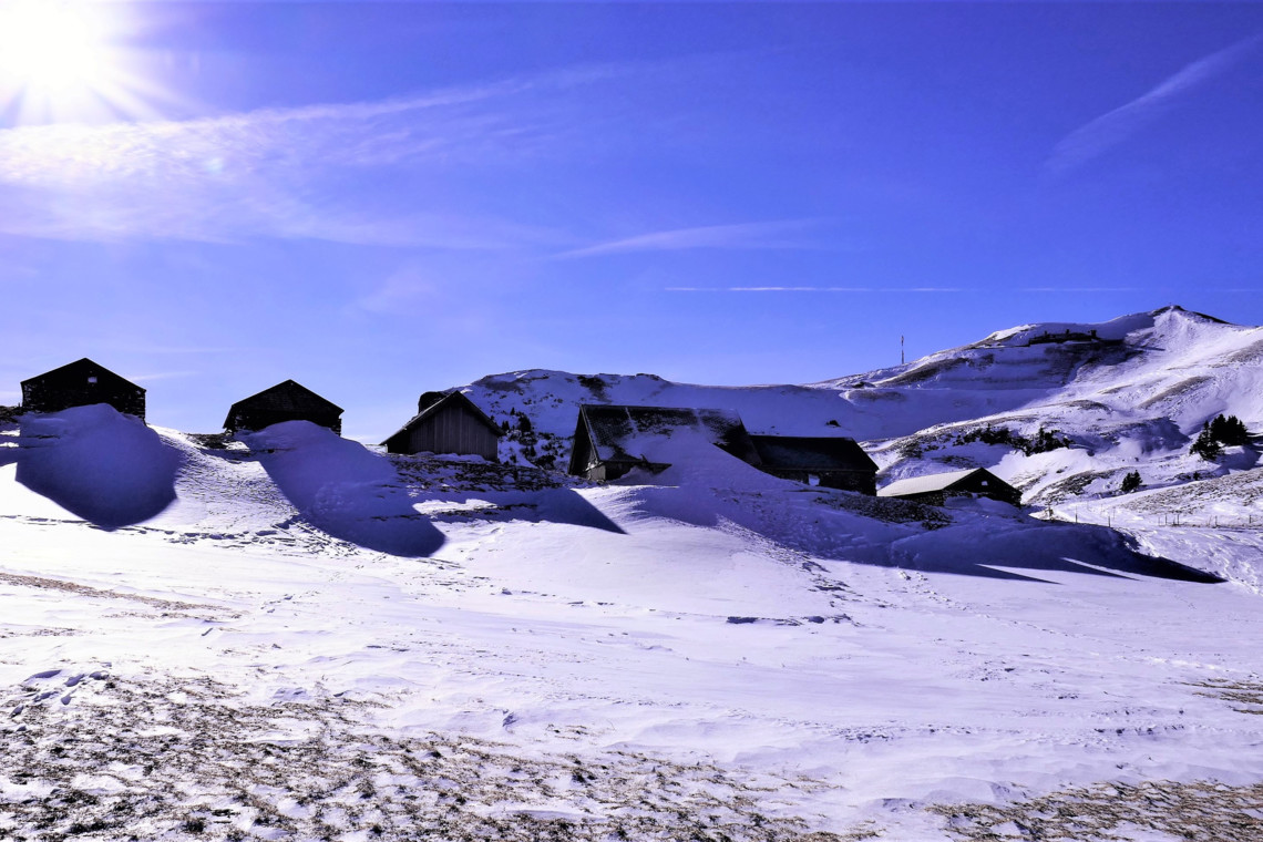 Aktuelles Programm :: Alpenverein